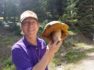 The Colorado Mycological Society – Stalking The Wild Mushroom®