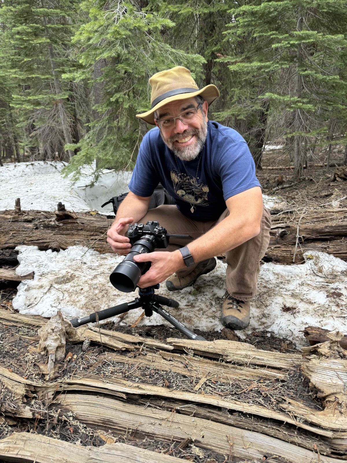 Brian Perry: Illuminating Fungi – the Science of Fungal Bioluminescence ...